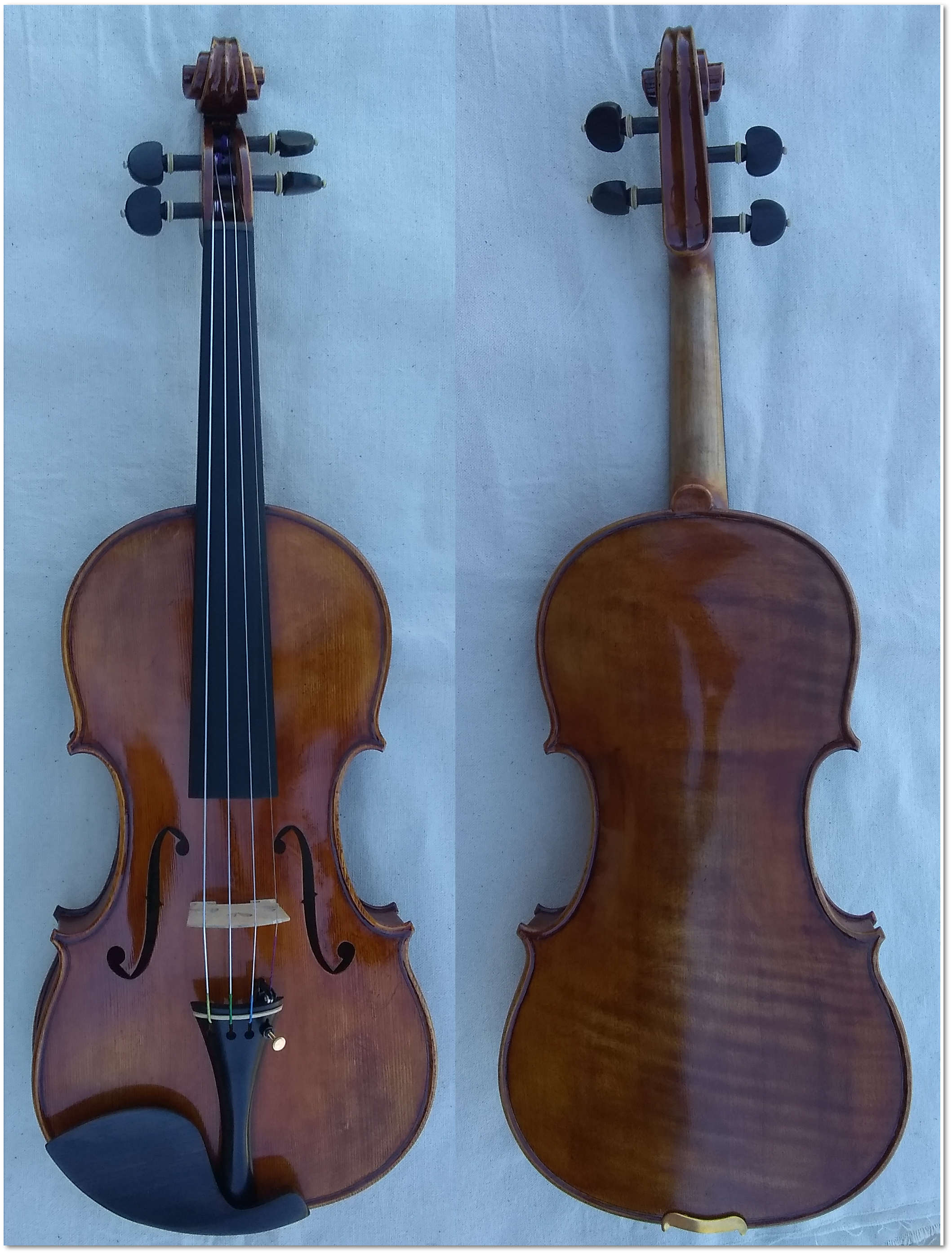 New Fretted Acoustic Violins