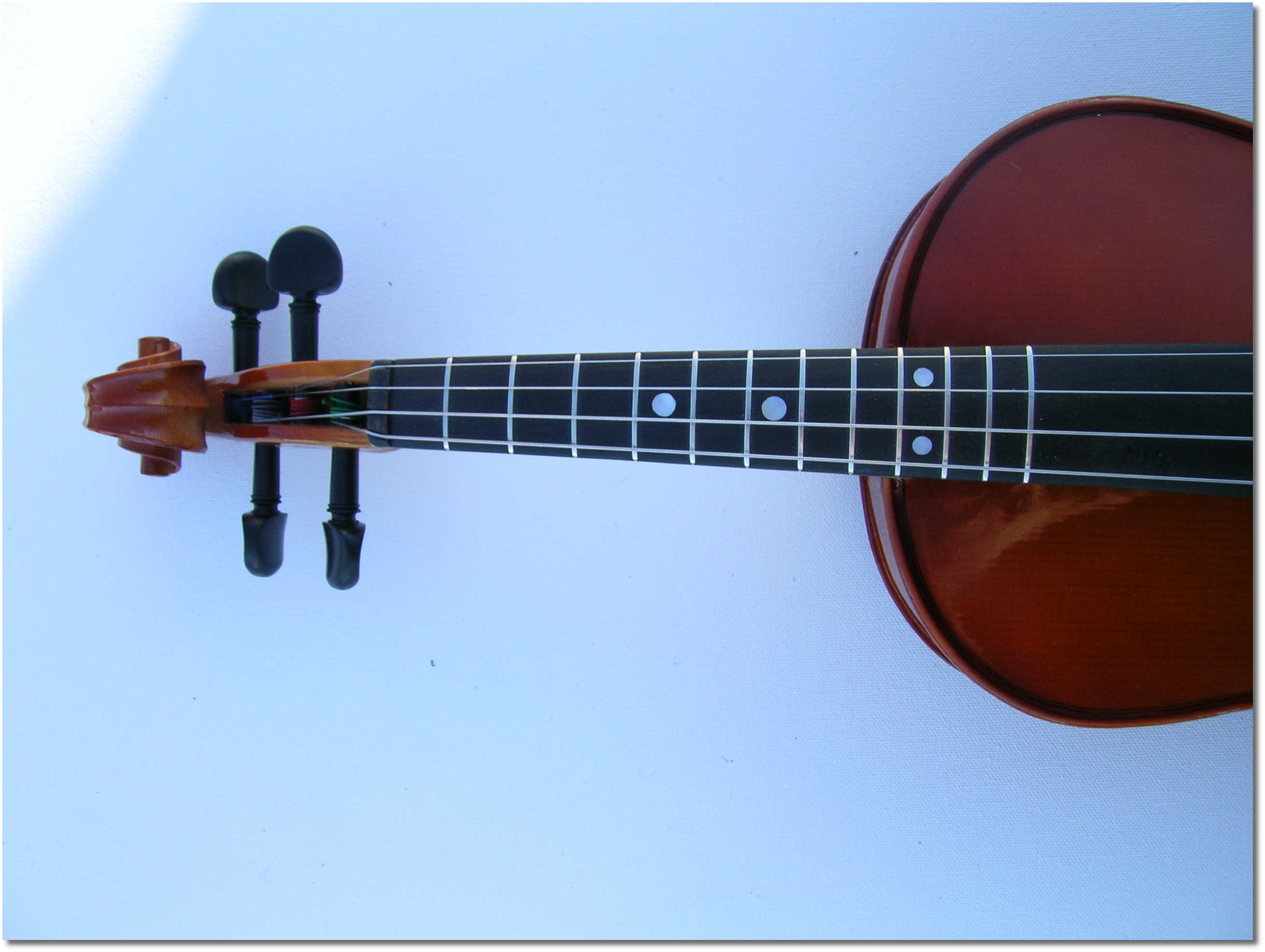 Fretted Violins