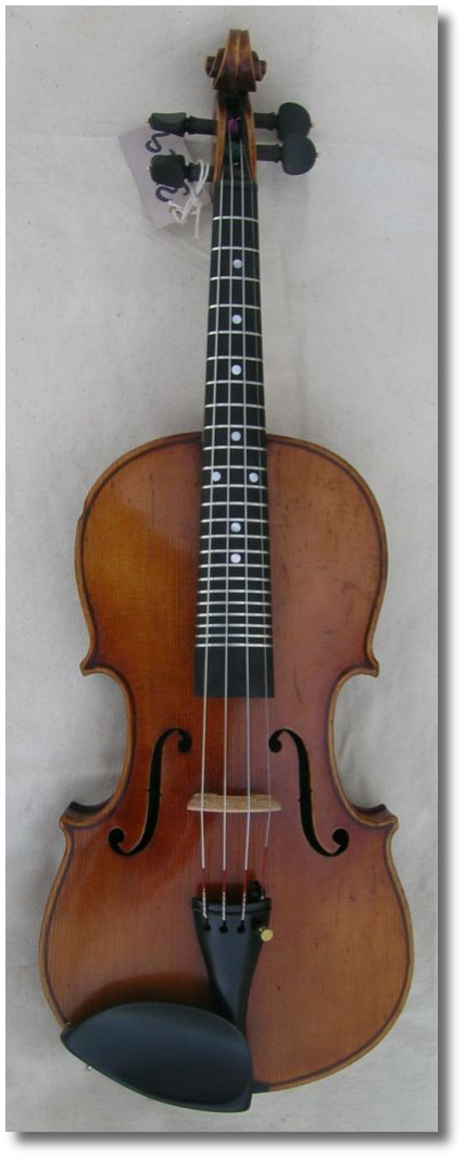 Examples Fretted Violin and Viola|Photos