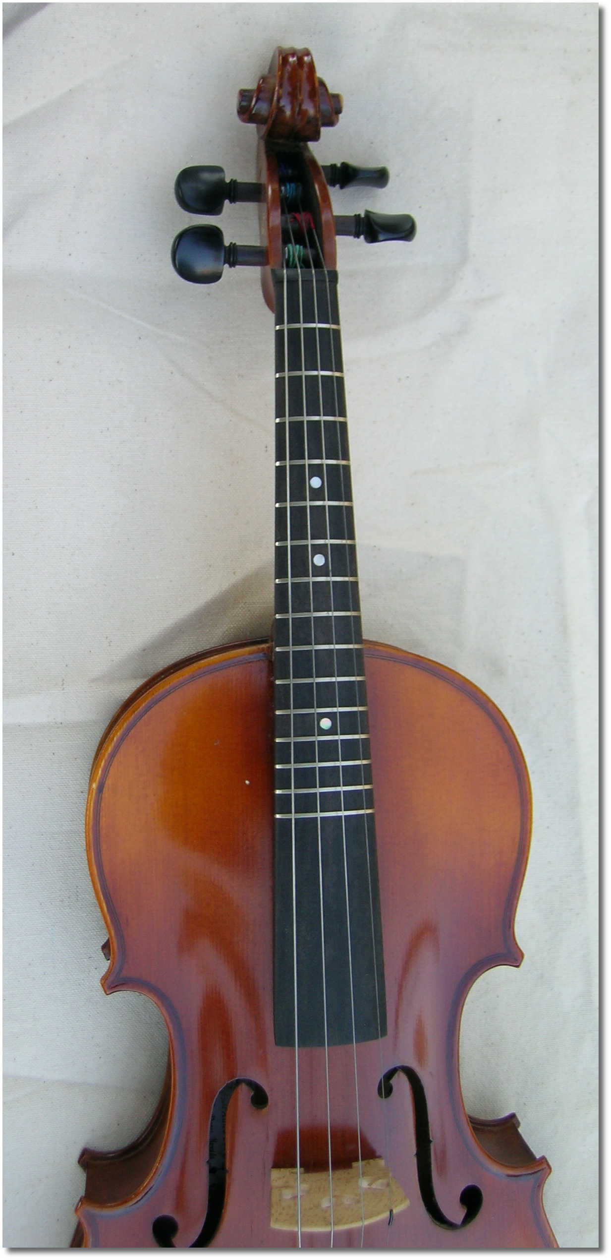 Acoustic Fretted Violins