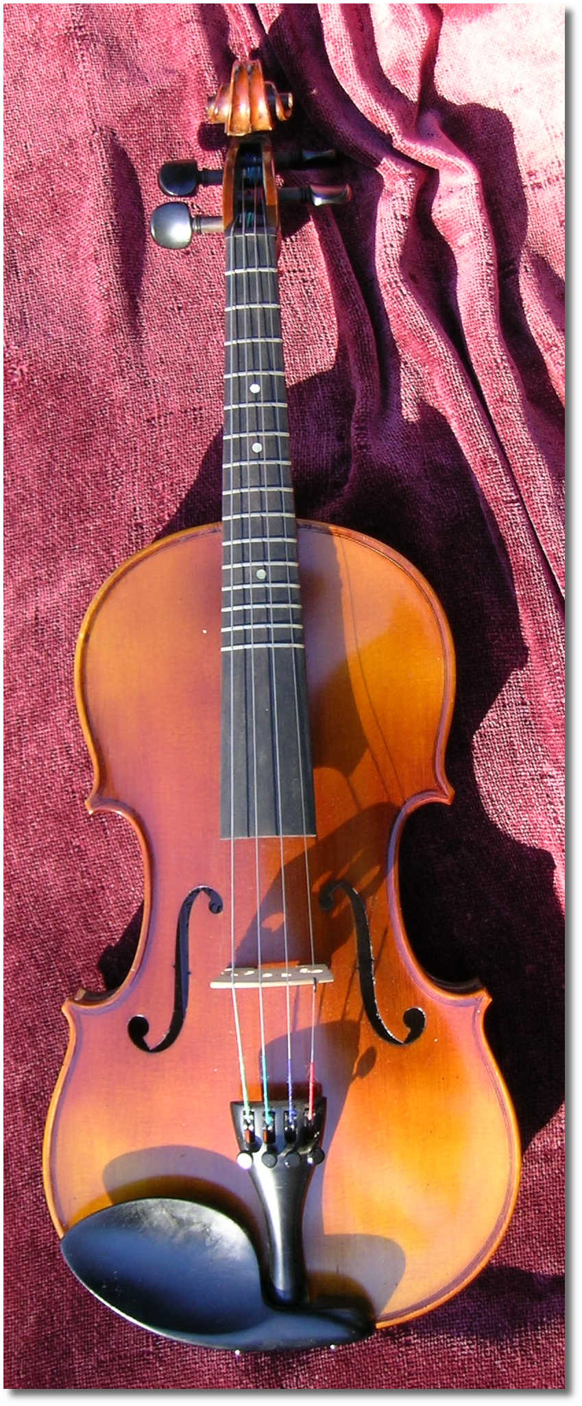 Fretted Violins
