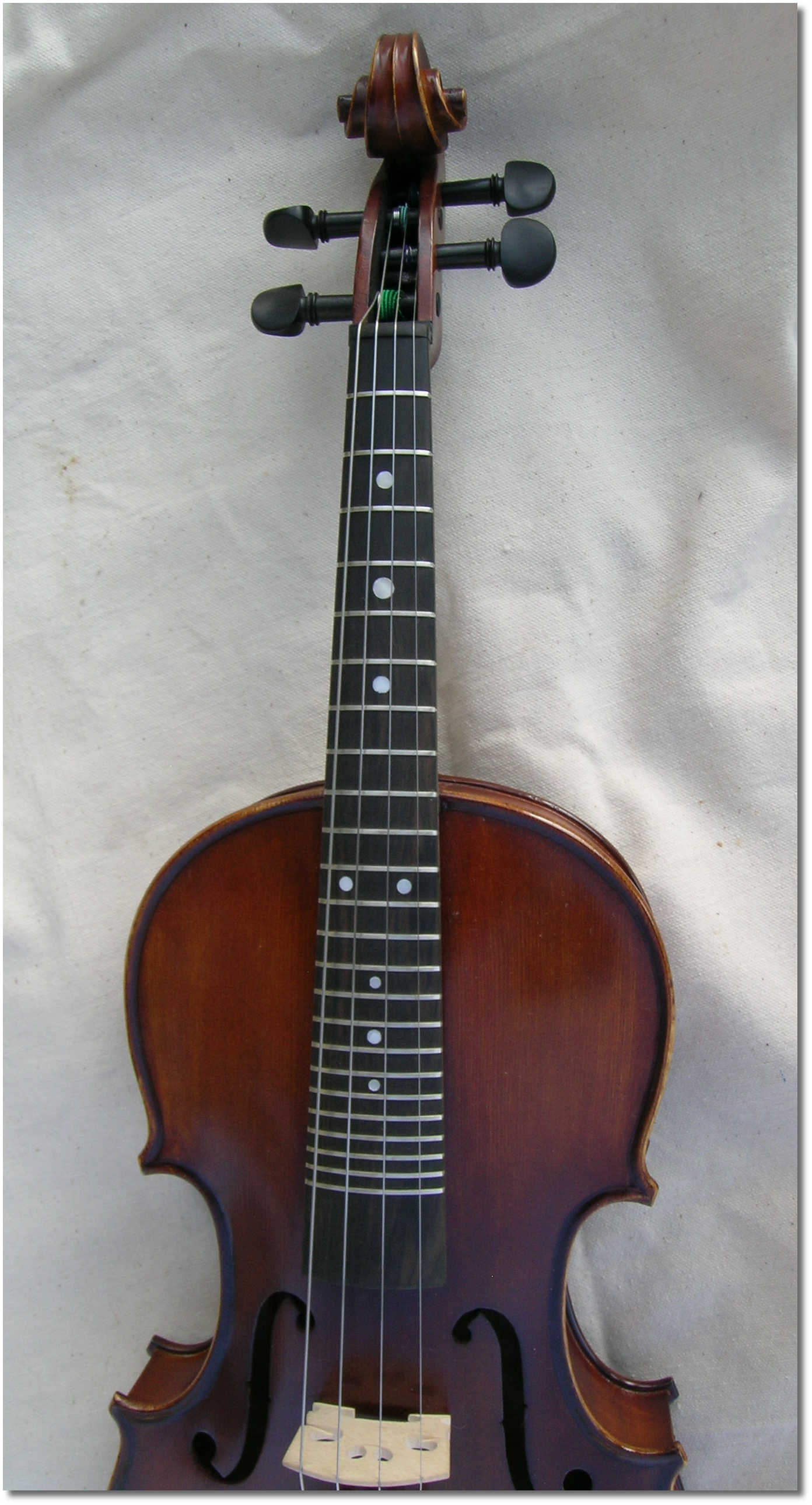Fretted Violins