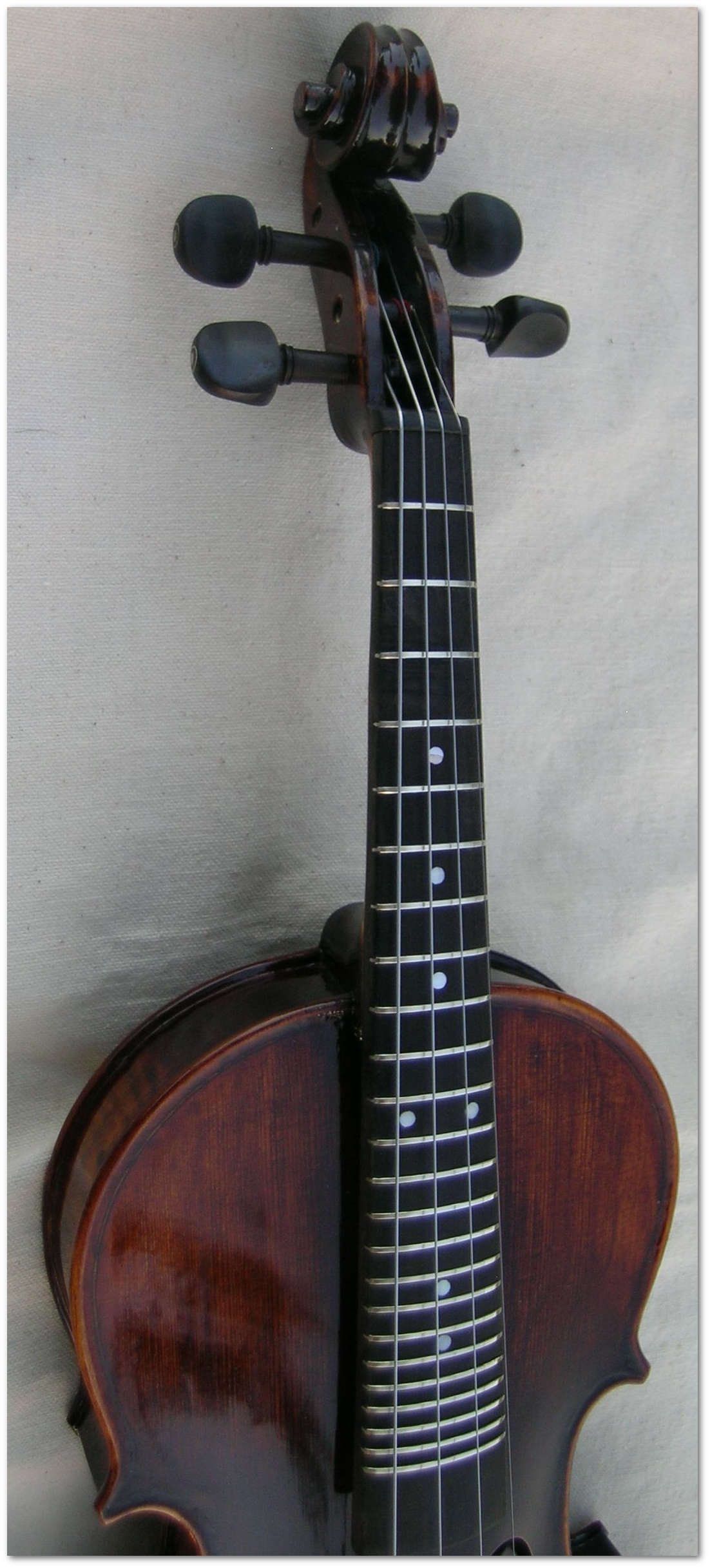 Fretted Violins