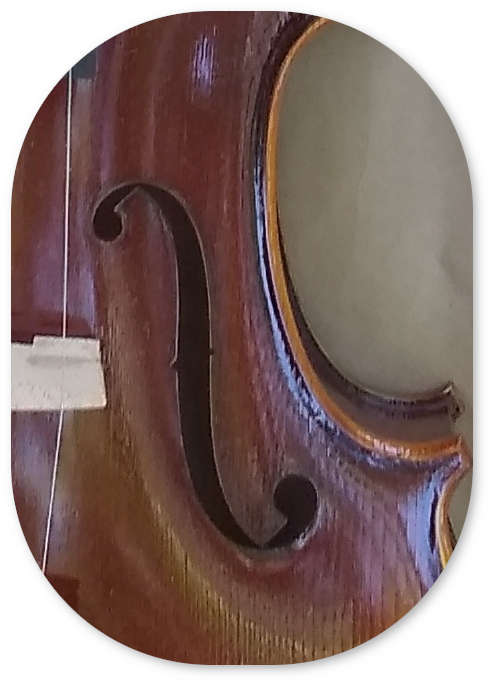 New Fretted Acoustic Violins